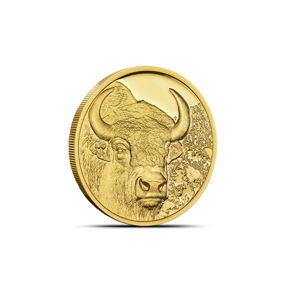 Buy 2025 1/10 oz Proof Mongolia Gold Bison Coin | BullionMax
